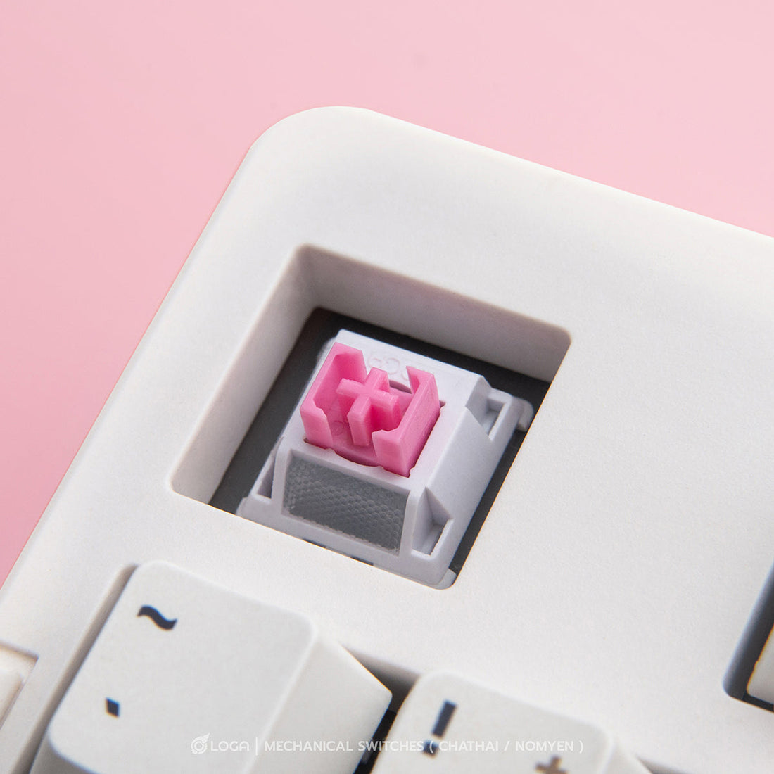 LOGA MECHANICAL KEYBOARD SWITCHES:NOMYEN/CHATHAI/NOMSOD/MATCHA(35 pcs ...