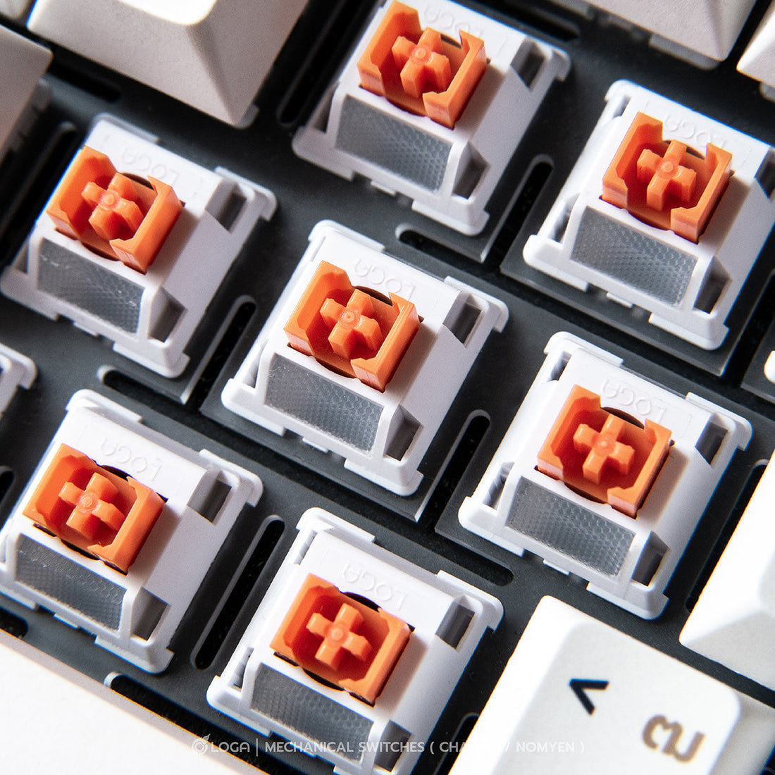 LOGA MECHANICAL KEYBOARD SWITCHES:NOMYEN/CHATHAI/NOMSOD/MATCHA(35 pcs ...