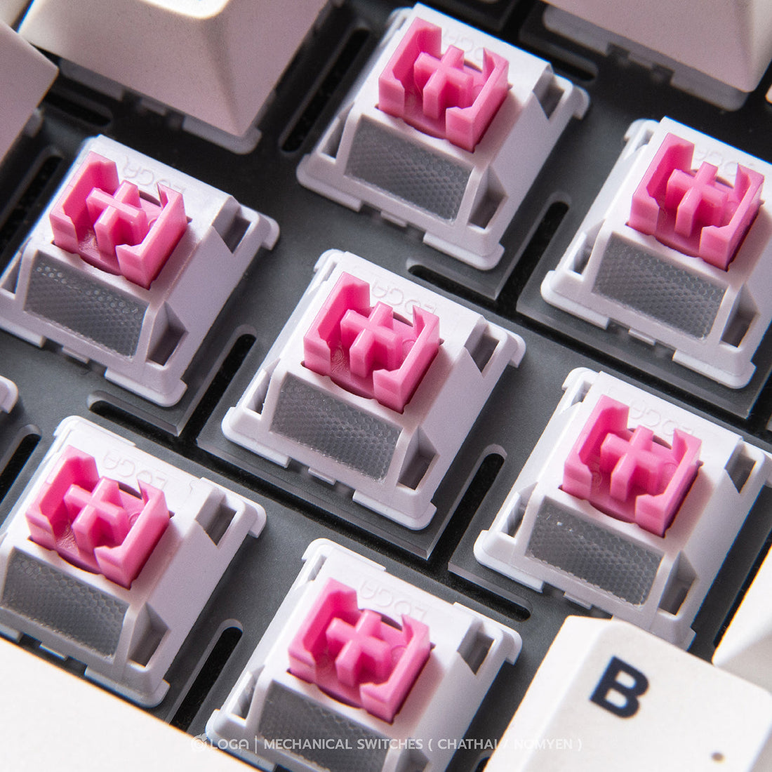 LOGA MECHANICAL KEYBOARD SWITCHES : NOMYEN / CHATHAI / NOMSOD (35 pcs ...